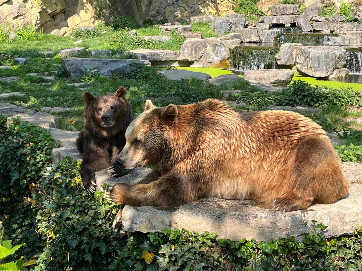 The Caves of Han and the Domain of the Caves of Han - The bungalows of ...